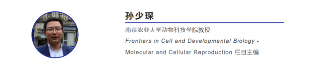 主编荐读 | Front. Cell Dev. Biol. 论文精选（上） | Frontiers 出版社官方中文网站